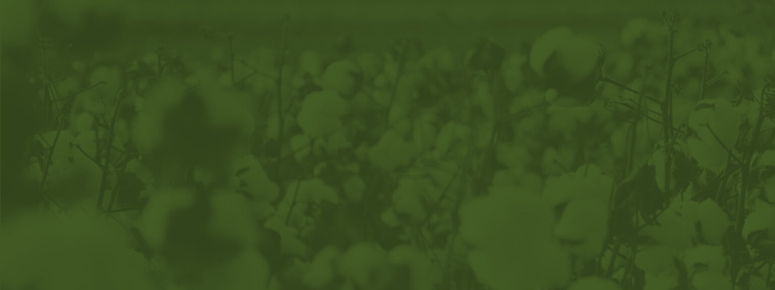 Custom Clothing | Personalized Clothing | AWDis